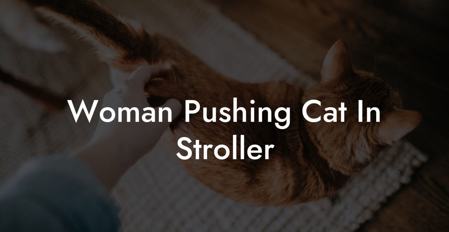 Woman Pushing Cat In Stroller - Cat Hotels